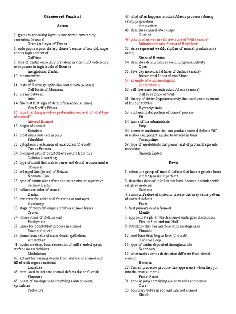 Dental Crossword Puzzle Insights | PDF | Tooth Enamel | Dentin