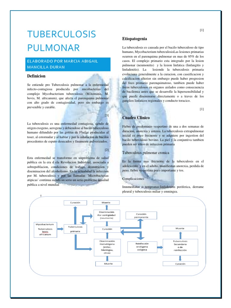 TB Pulmonar | PDF | Tuberculosis | Enfermedades y trastornos