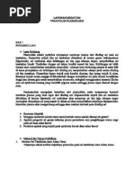 Laporan Biologi (Plasmolisis & Krenasi) | PDF