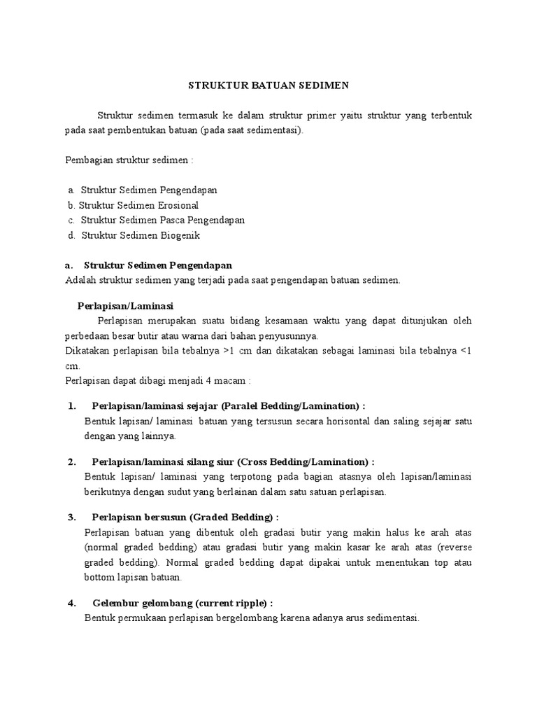 Struktur Batuan Sedimen | PDF