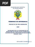 Texto Unico de Bases y Reglamentos Del Sistema Nacional de Campeonatos Copa Peru 2023 - Aprobado ...