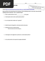 Notes - RP 06 Photosynthesis - AQA Biology GCSE | PDF | Photosynthesis