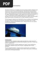 Wound Classification Chart 141 | PDF | Wound | Topical Medication