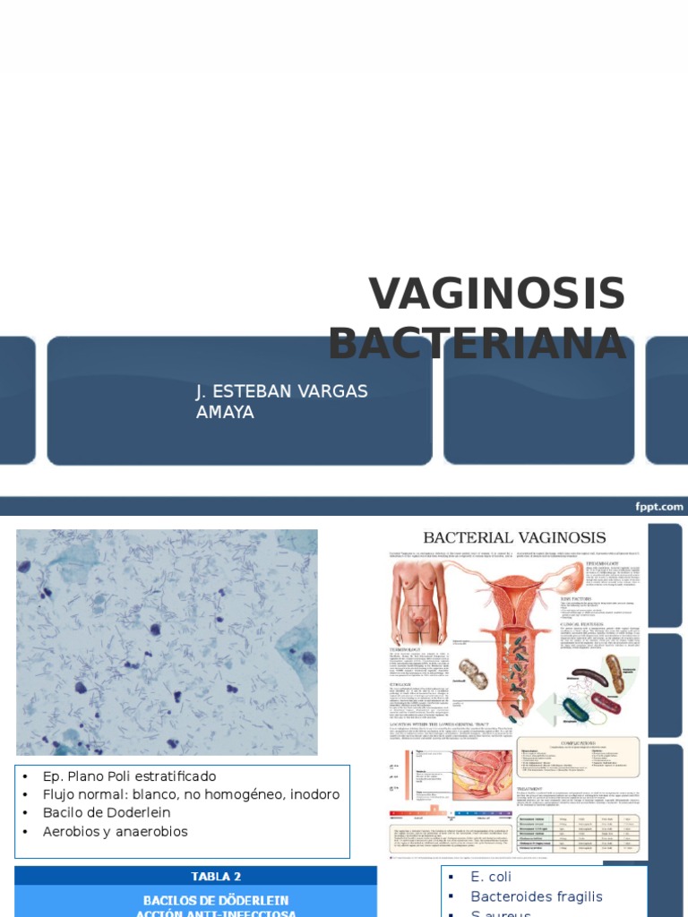 Vaginosis Bacteriana: Diagnóstico y Tratamiento | PDF | Vagina | Las ...