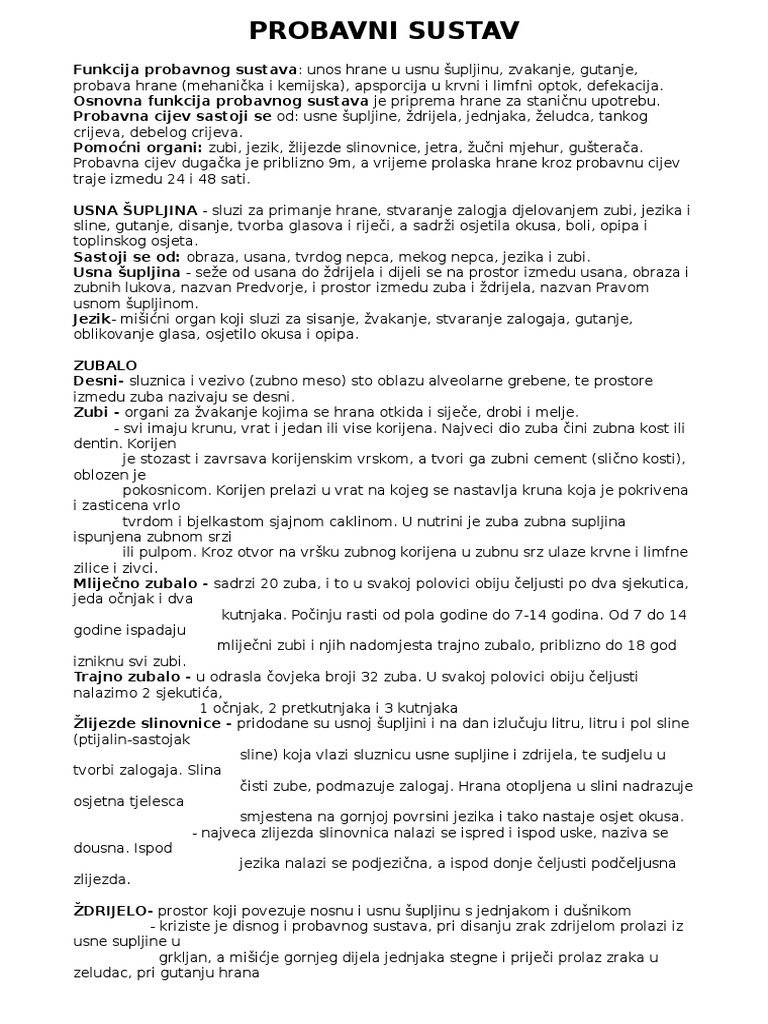 Anatomija-Skripta Opca | PDF