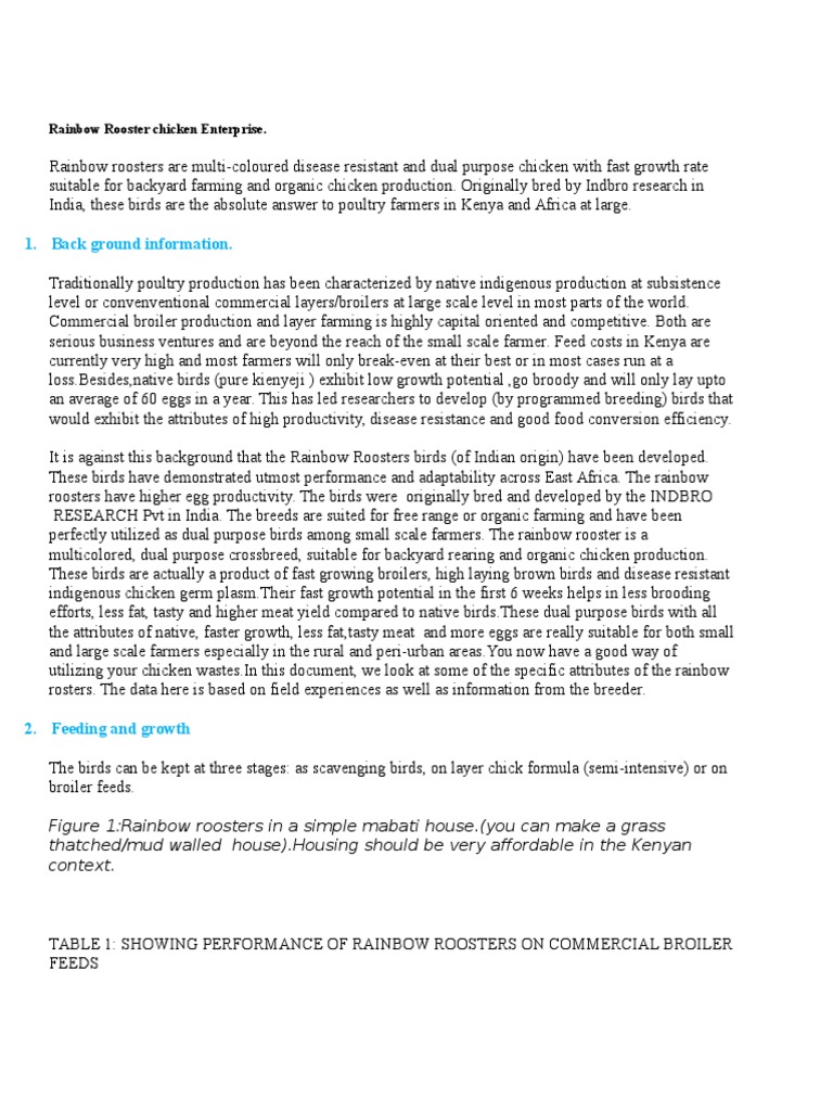 Rainbow Rooster Chicken Enterprise | PDF | Broiler | Chicken