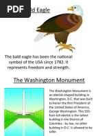 Symbols of Freedom and Their Meanings | PDF | Liberty | Peace