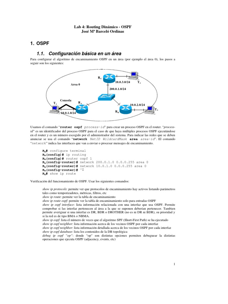 Routing Dinámico - OSPF | Descargar gratis PDF | Enrutador (Computación) | Dirección IP