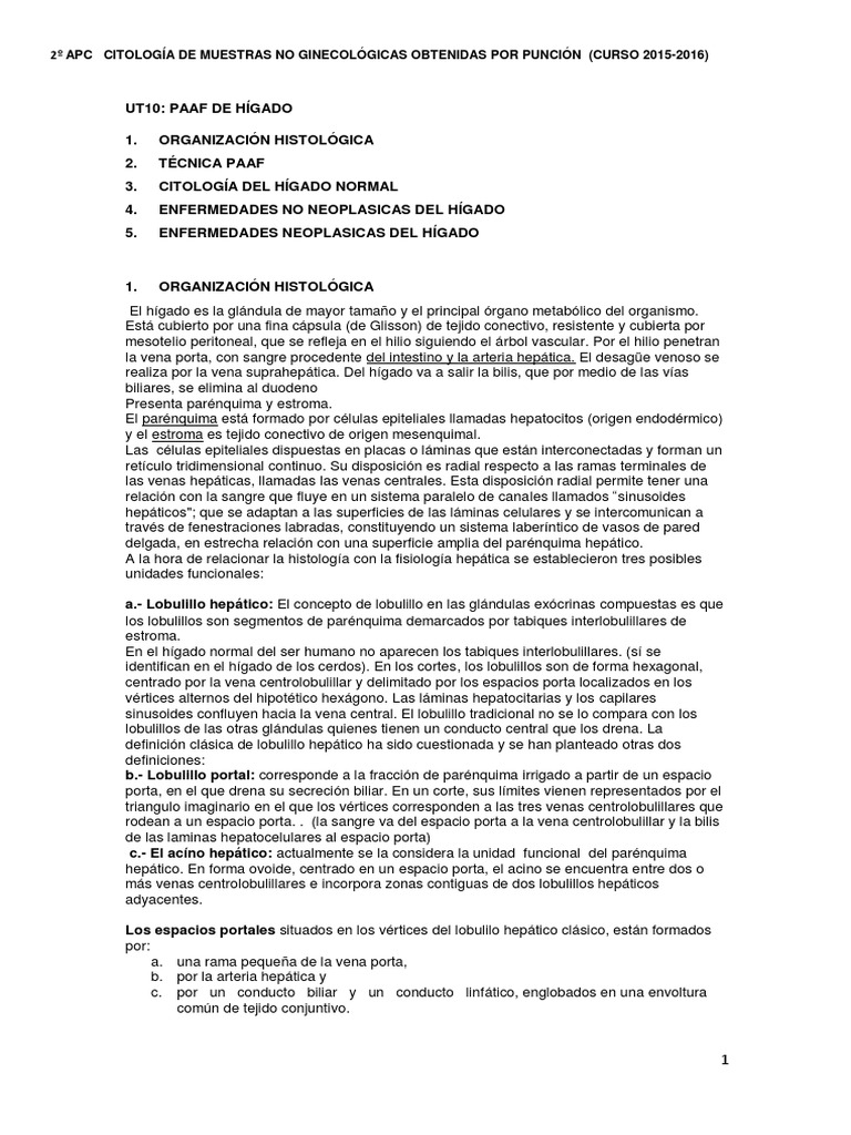 PAAF de Higado | PDF | Hígado | Hepatitis