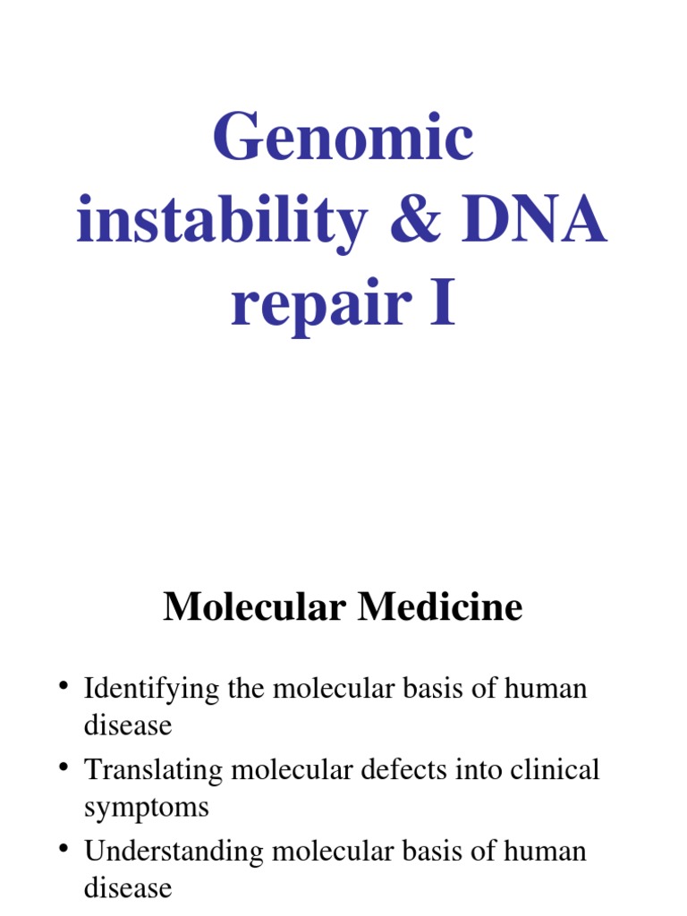 Understanding the Molecular Basis of Genomic Instability and Defective ...