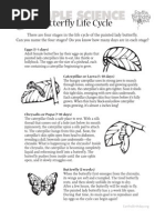 5 The Life of A Butterfly Grade 3 Comprehension Worksheet | PDF ...