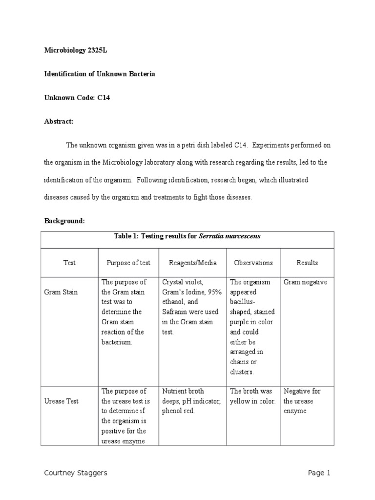 Micro Lab Unknown Organism Report | PDF | Staining | Gram Positive Bacteria