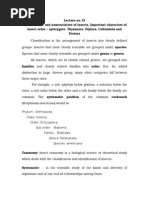 Insect Orders Identification Key | PDF | Insects | Arthropods