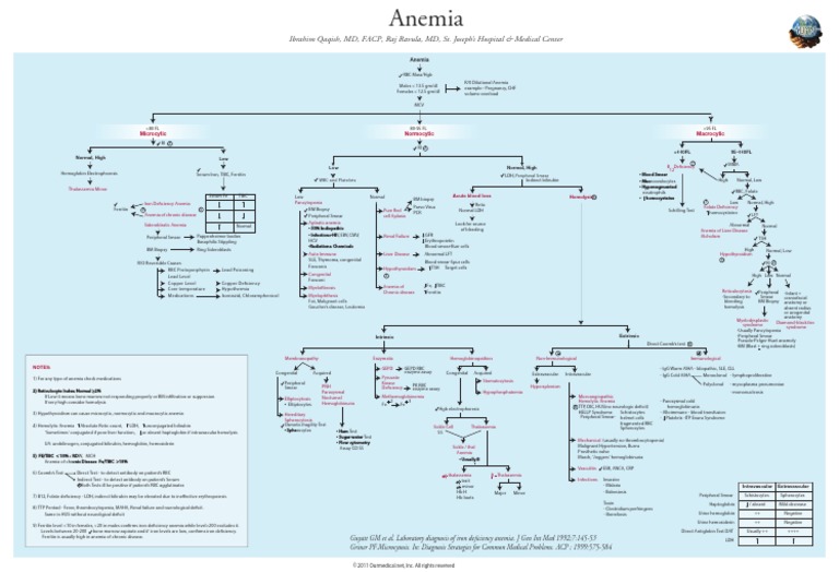 Components of Blood ChartAnemia Flowchart | PDF | Anemia | Hematology
