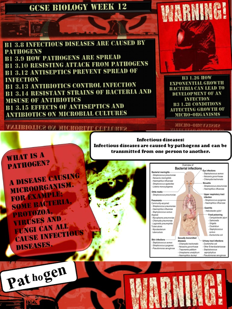 GCSE Week 12 Pathogens and Disease | PDF | Pathogen | Microorganism