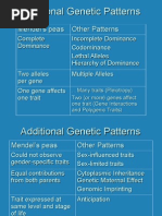 Answer Key - Genetic Packet | PDF | Dominance (Genetics) | Genotype