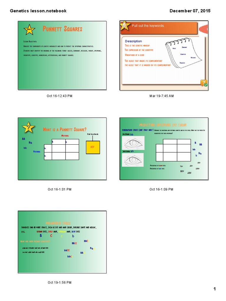 Genetics Lesson: Predicting Traits | PDF