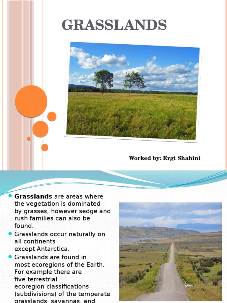 An In-Depth Look at the Diverse Types and Global Distribution of ...