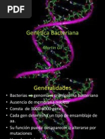 CÓSMIDOS | PDF | Plásmido | Biotecnología