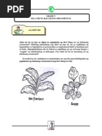 Halamang Dahon | PDF