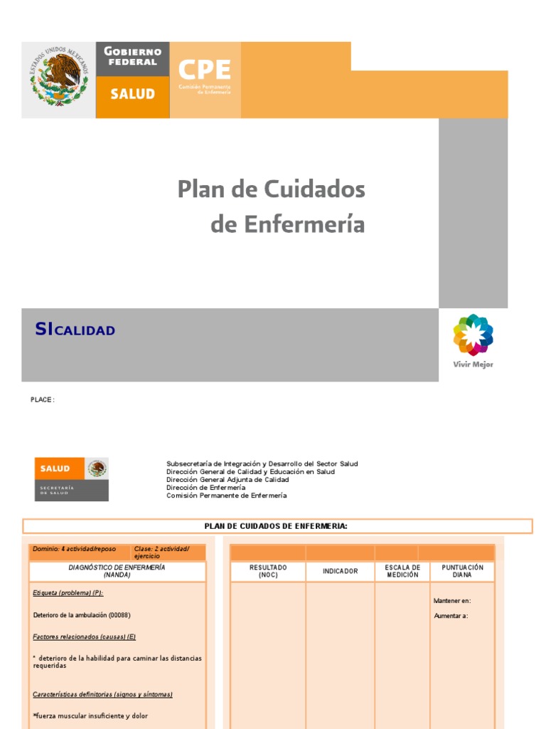 Formato Place Oficial | PDF | Enfermería | Cuidado de la salud