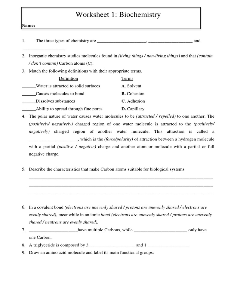 Worksheet 1: Biochemistry: Name | Download Free PDF | Cell (Biology) | Dna