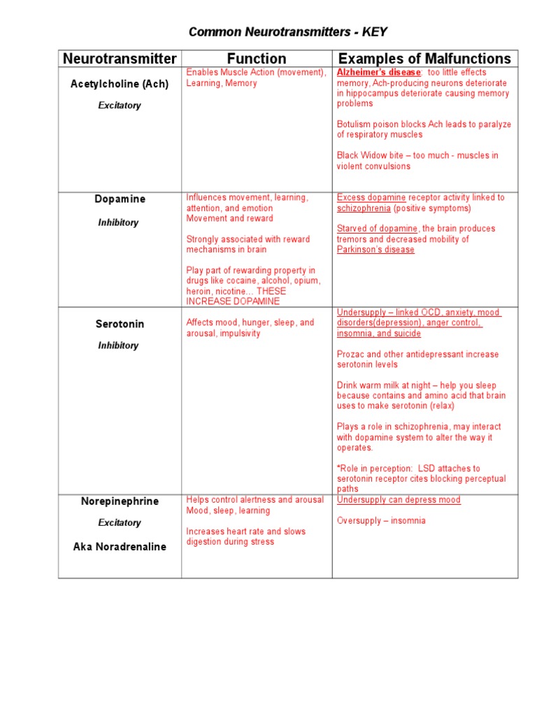 Neurotransmitters And Their Functions Chart