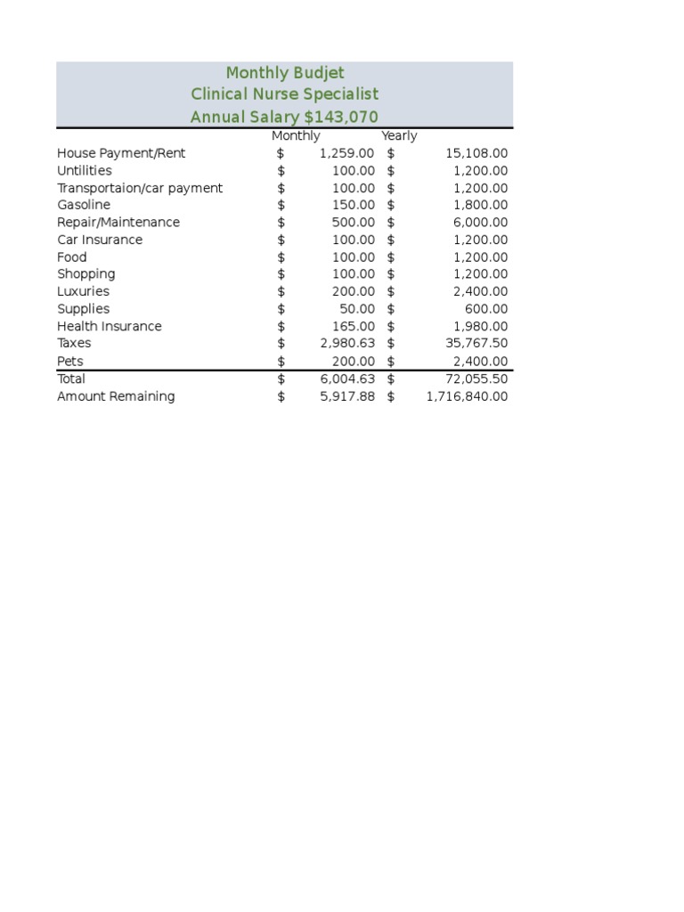 Monthly Budget for Clinical Nurse Specialist | PDF