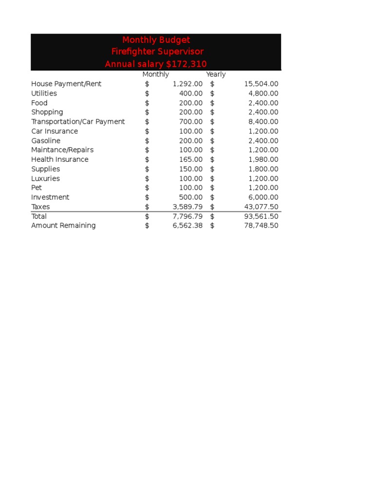 Budget | PDF | Finance & Money Management