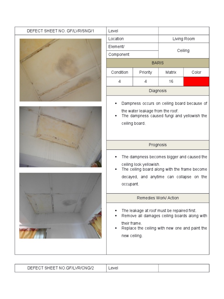 Living Room and Bathroom Defect Reports | PDF | Paint | Corrosion