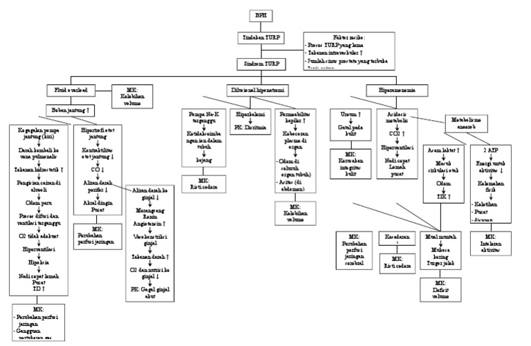 WOC TURP Syndrome | PDF