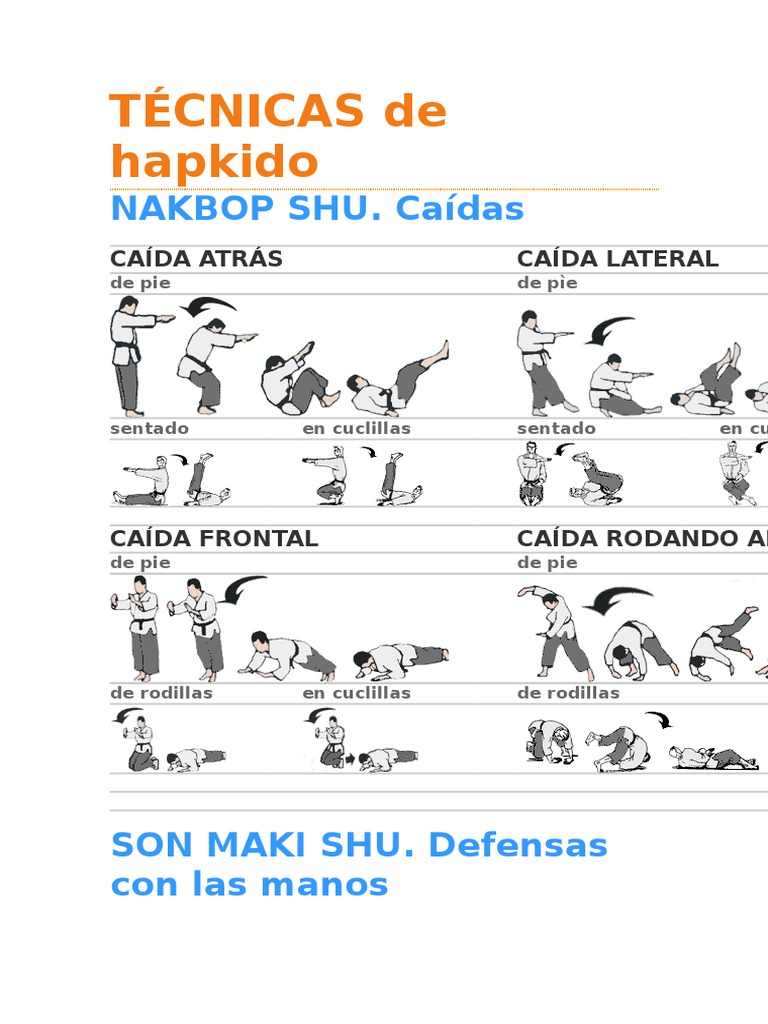 TÉCNICAS de Hapkido | PDF