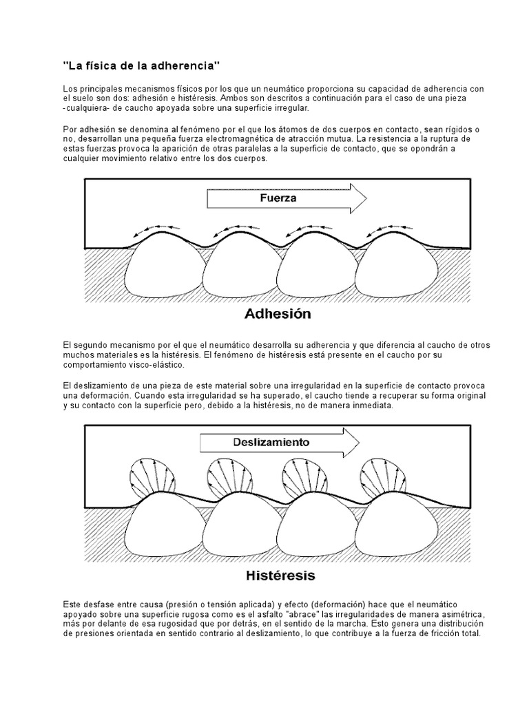 La Fisica de La Adherencia | Neumático | Adhesión