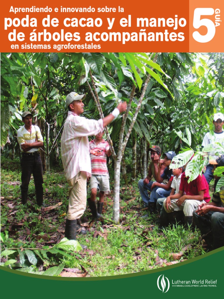 Poda de Cacao Agroforestal | PDF | Arboles | Tallo de la planta
