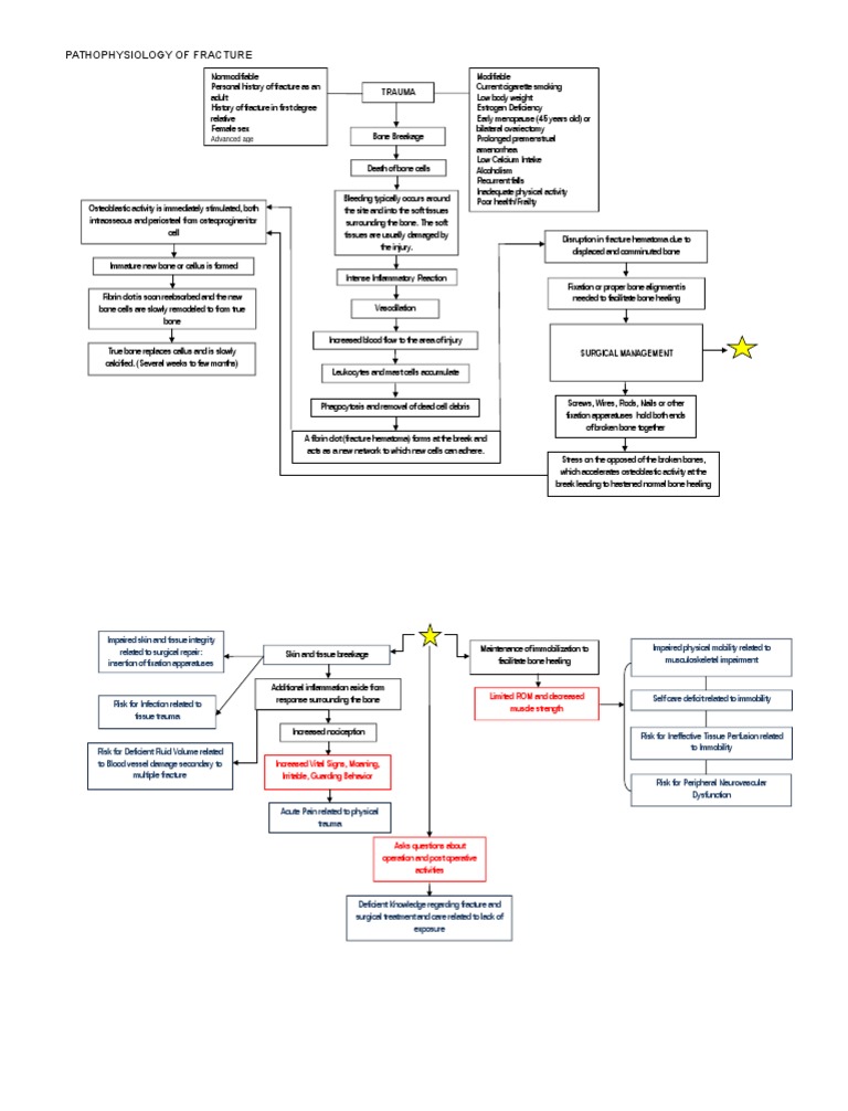 Pathophysiology of Fracture | PDF | Bone | Major Trauma