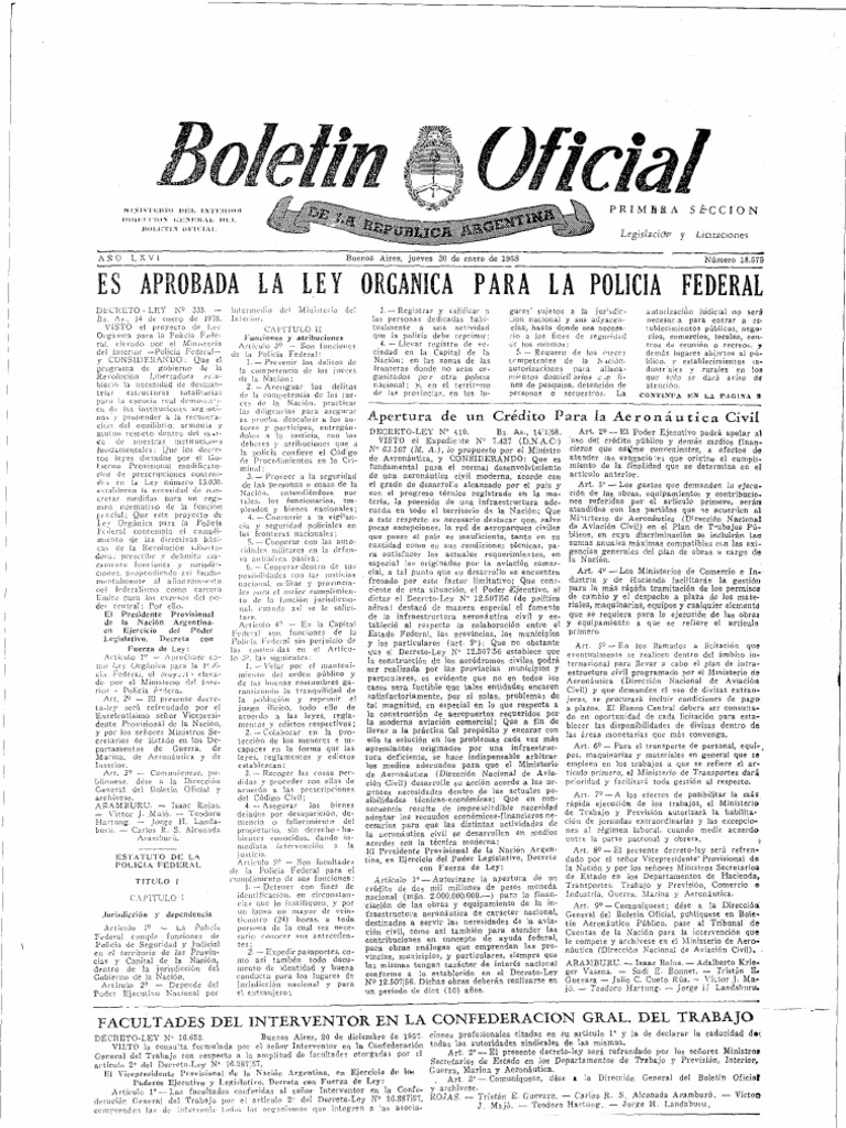 Boletin Oficial Aprobacion de Ley Organica PFA | PDF | Policía ...