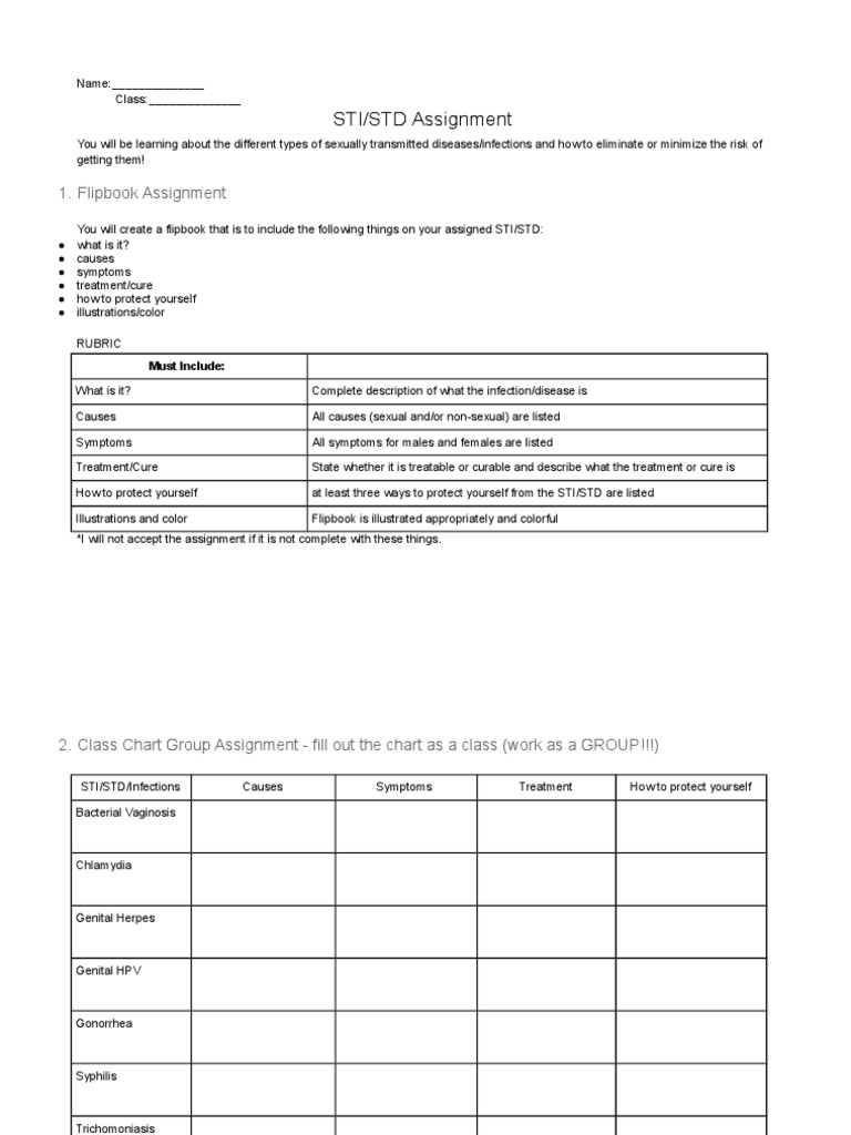 STI/STD Flipbook Assignment Guide | PDF