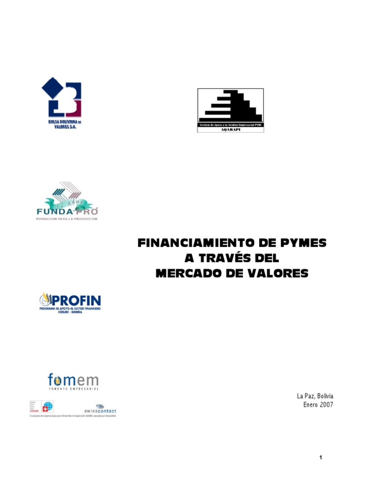 Financiamiento Pymes Pdf
