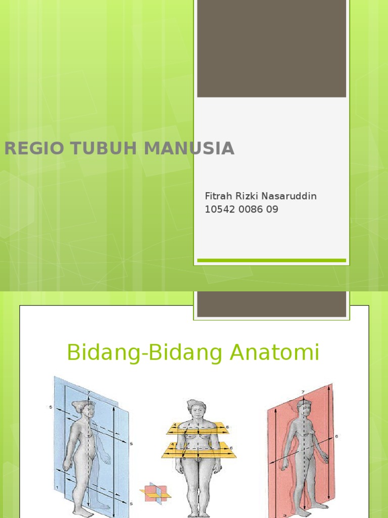 Regio Tubuh Manusia Slide | PDF | Sains & Matematika