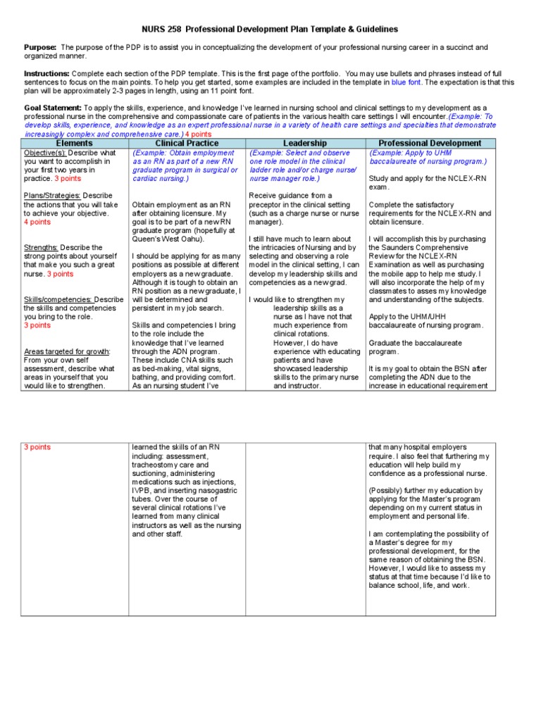 Professional Development Plan For Nurses