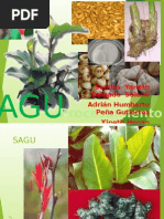 Kamab 26 Ficha Técnica | PDF | Fertilizante | Agua