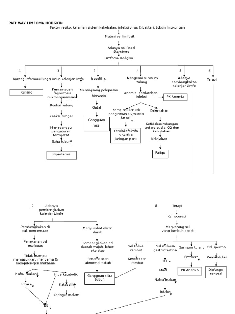 Pathway Limfoma Hodgkin