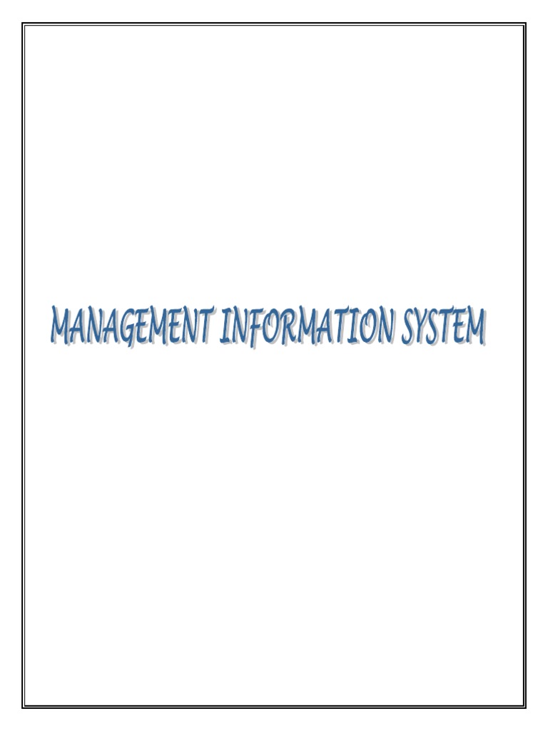 MIS Assignment | PDF | Computer Network | Internet