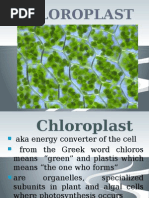 Chapter 3 Sample PNS STEM 2022 Version | PDF | Methodology