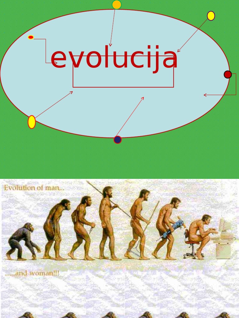 Evolucija | PDF