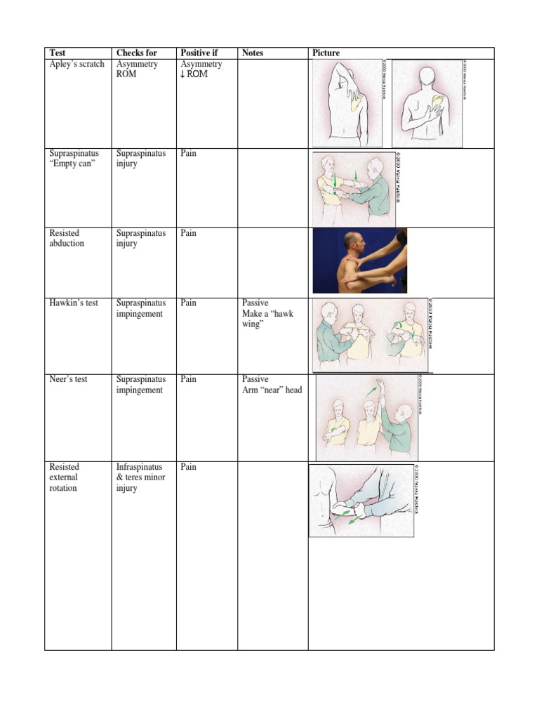 Ortho Cheat Sheet | PDF