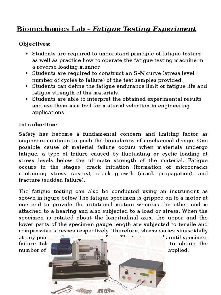 Fatigue Testing Worksheet | PDF | Fatigue (Material) | Fracture