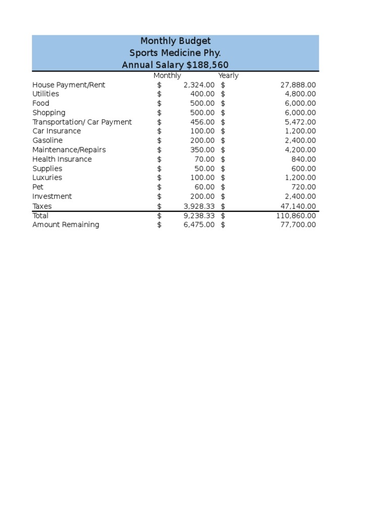 Sports Medicine Physician Budget | PDF
