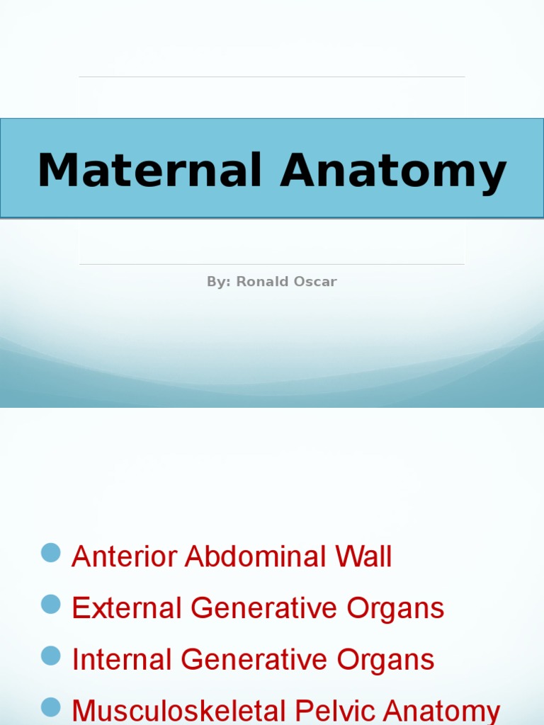 CH 2 Maternal Anatomy | PDF | Pelvis | Labia