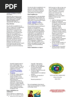 Filipino Tagalog Fact Sheet What Is Influenza | PDF